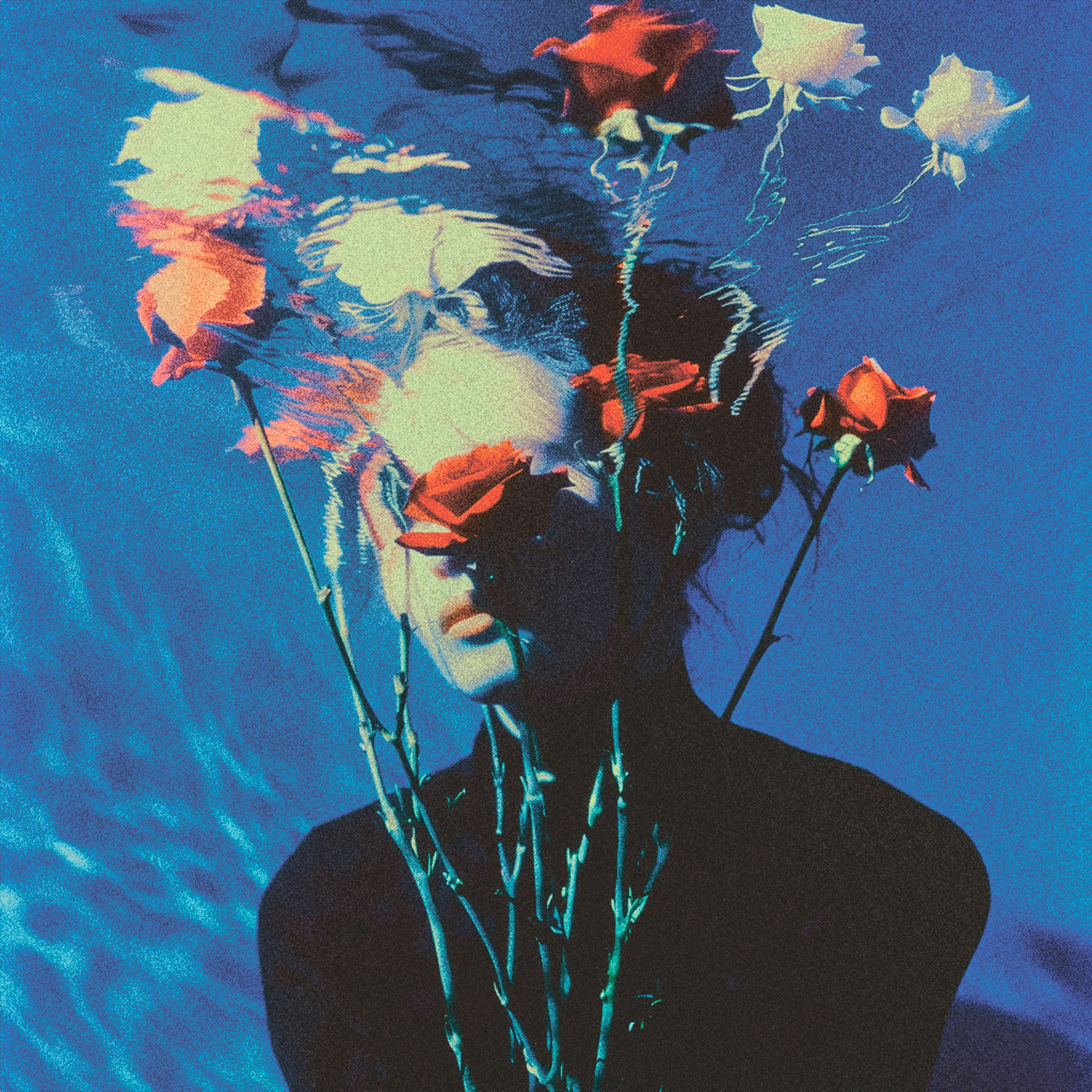 Lauren Babic | Official Website & Merch Store